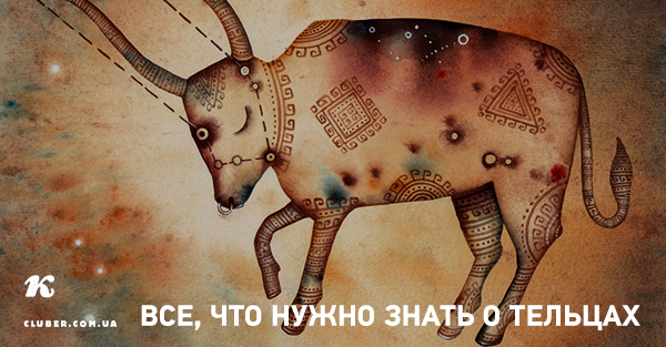 Все, что нужно знать о Тельцах